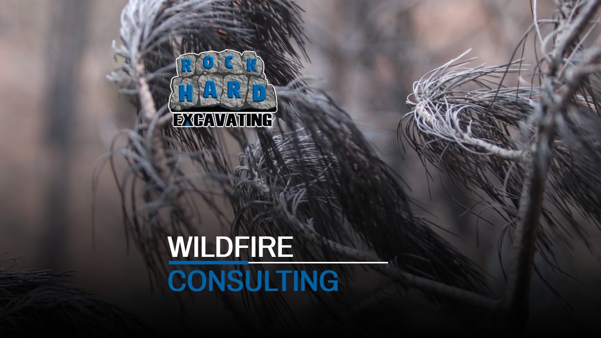 Wildfire Excavation Consulting - Expert Planning and Support
